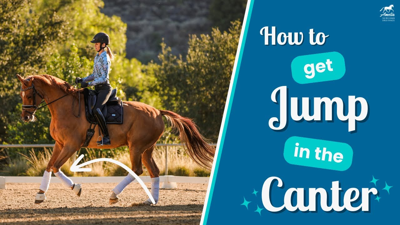 How to Get Your Horse Active in the Canter - YouTube