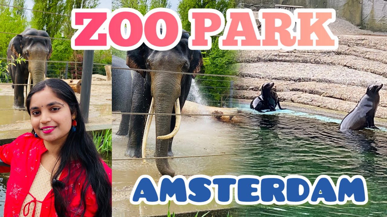 ARTIS ZOO || ZOO PARK IN AMSTERDAM || DIEREN PARK || AMSTERDAM ...