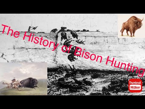 The History Of Bison Hunting - YouTube