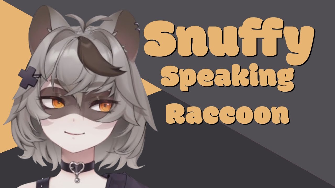 Snuffy Speaks Raccoon - YouTube