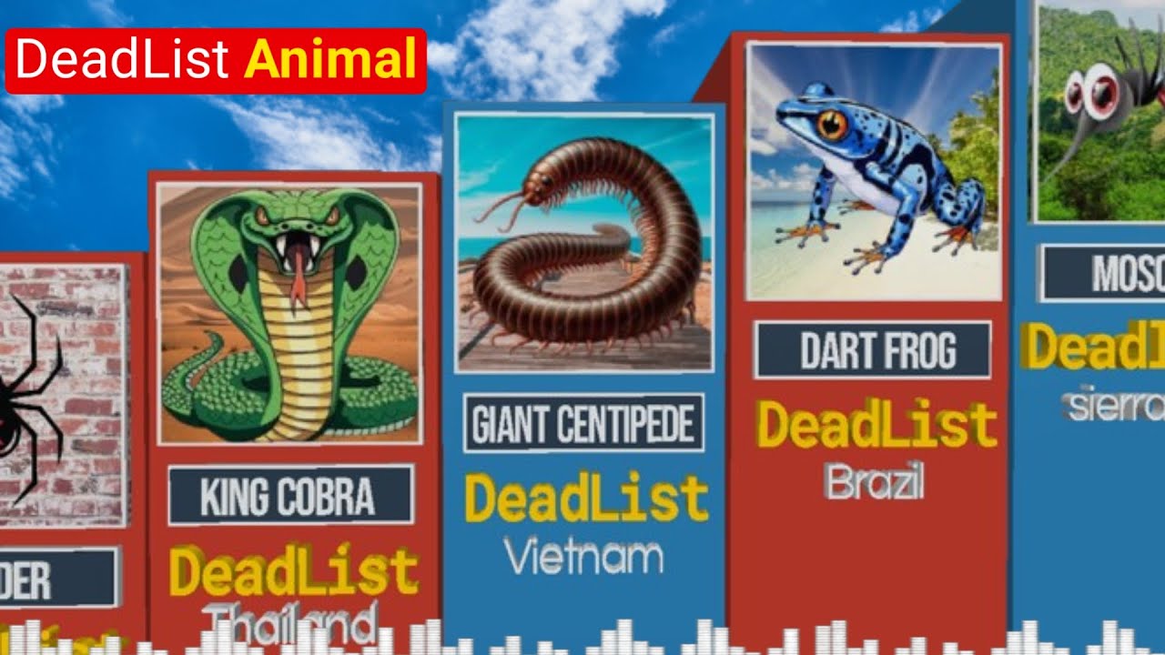 Deadliest Animals From Different Countries Comparison - YouTube