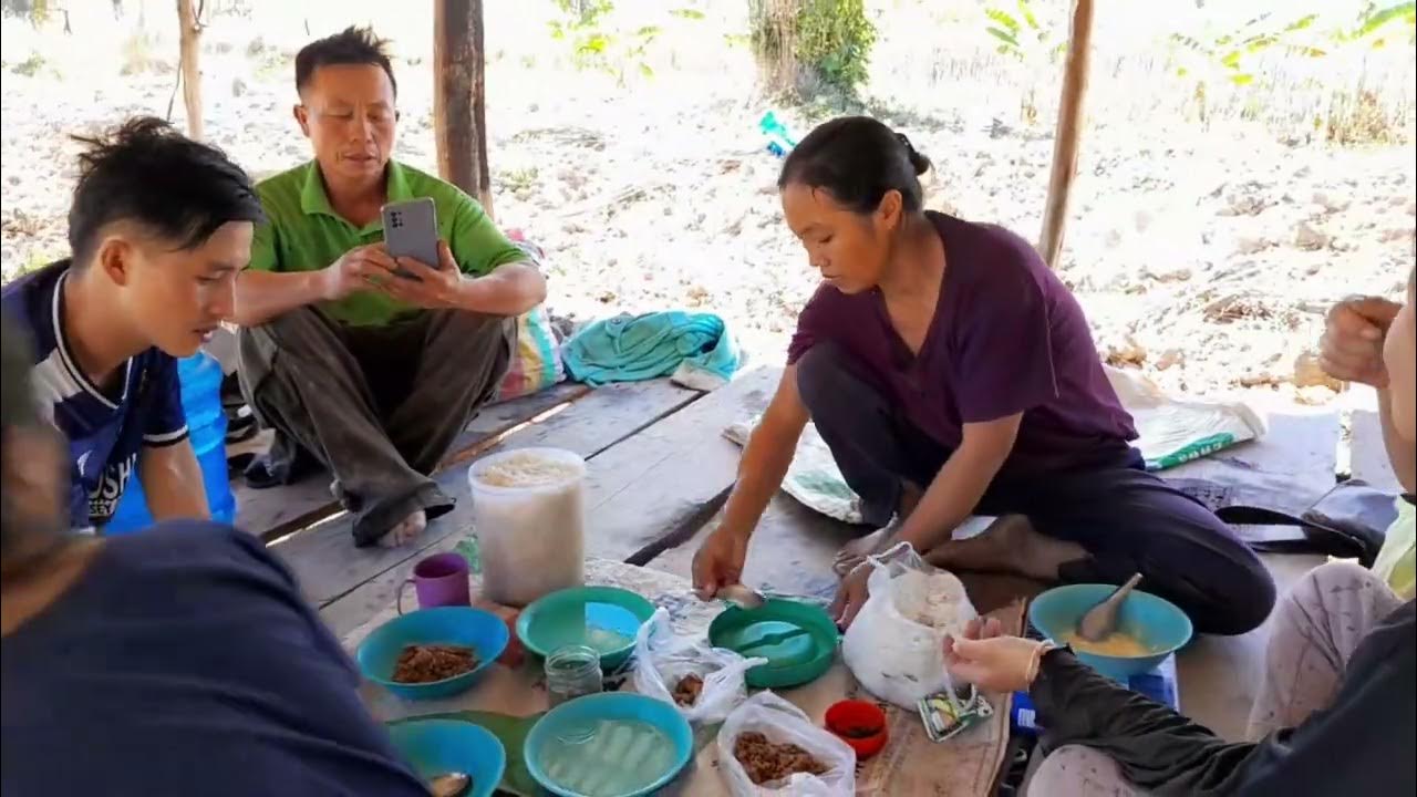 hnub no niam thiab txiv peb tuaj mus khaws qos thauj mus tsev nawb - YouTube