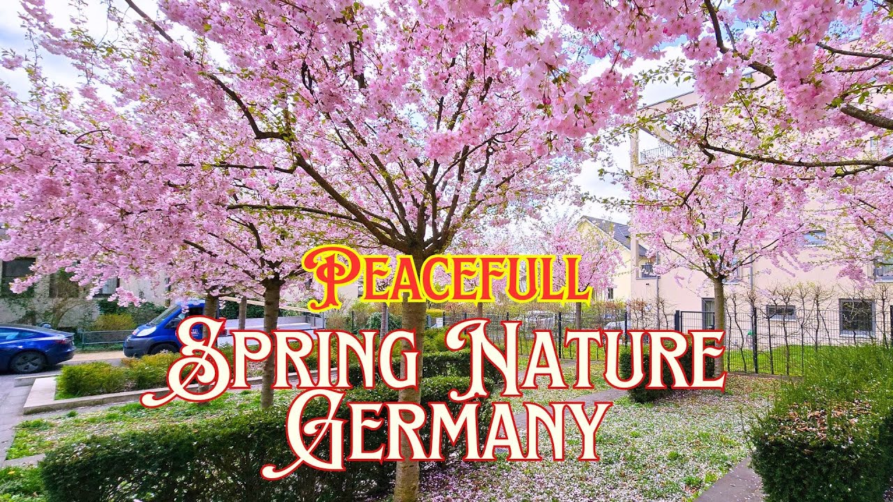Beautiful Spring at Germany - #peaceful #nature - YouTube