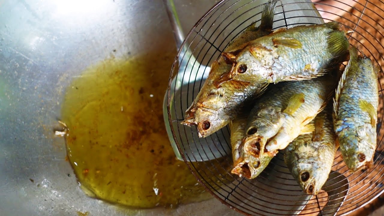 Rural Family Daily Food, Cooking climbing perch fish with tamarind ...