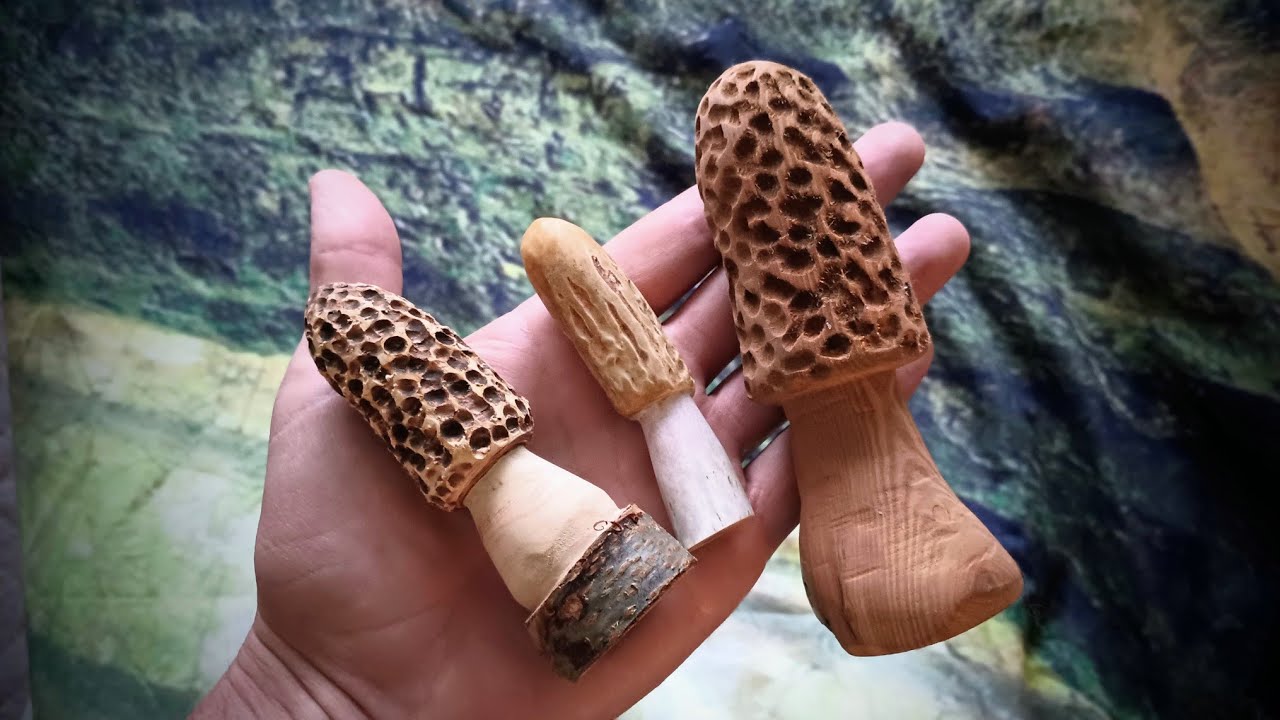 How To Carve Morels Easily In Minutes! ( Deer Antler, Wood, Cottonwood ...