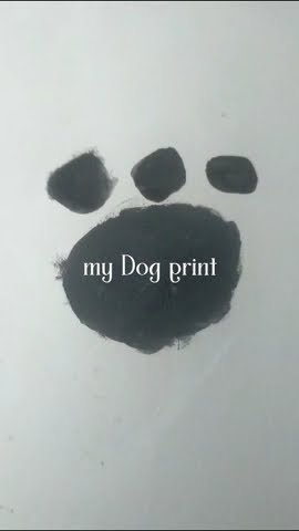 my dog print dog lovers like # on RTG - YouTube