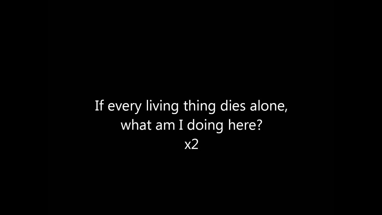 Pierce The Veil - Disasterology lyrics - YouTube