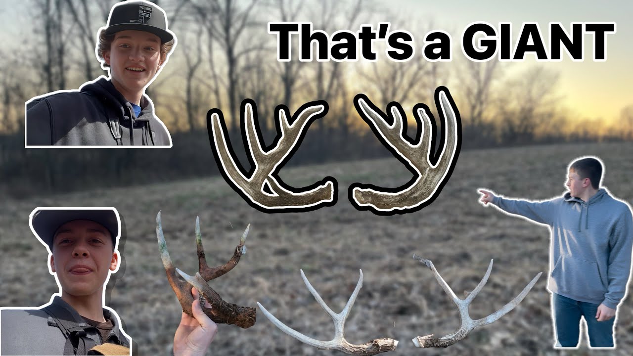 BIGGEST MATCH SET of the Year| 140’+| BIG 4 Point Side| Shed Hunting 25 ...