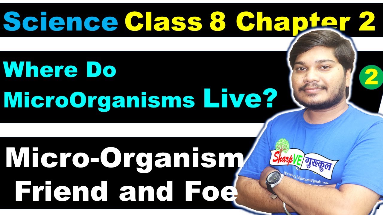 Microorganism Friend And Foe | Where Do Micro-Organism Live | Class 8 ...