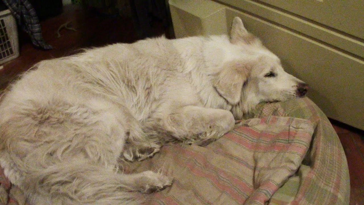 Bailey's Workout Video - YouTube
