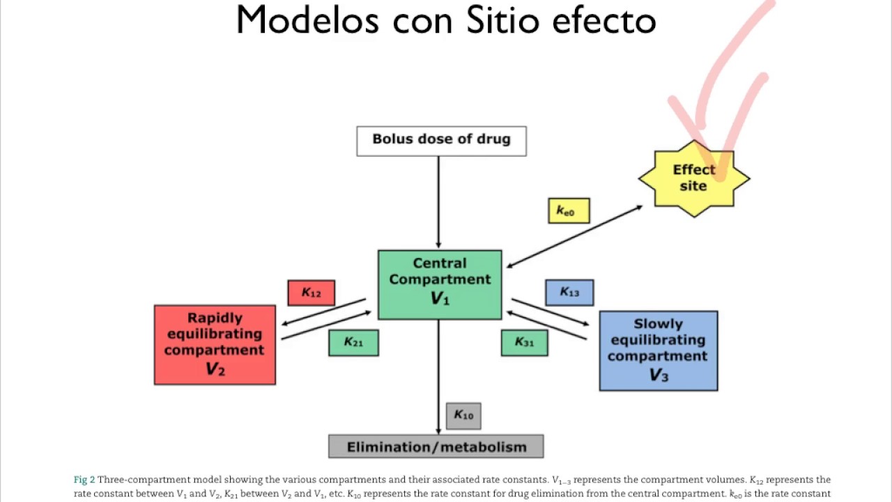 TIVA manual TCI - YouTube