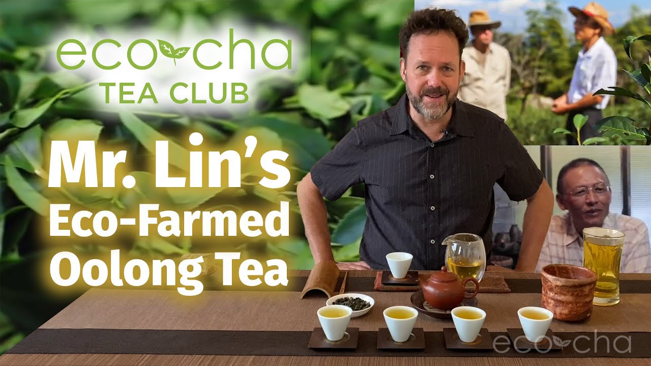Eco-Cha Tea Club: 85 - Mr. Lin's Eco-Farmed Oolong Tea | Eco-Cha Teas ...