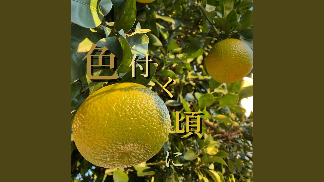 色付く頃に - YouTube