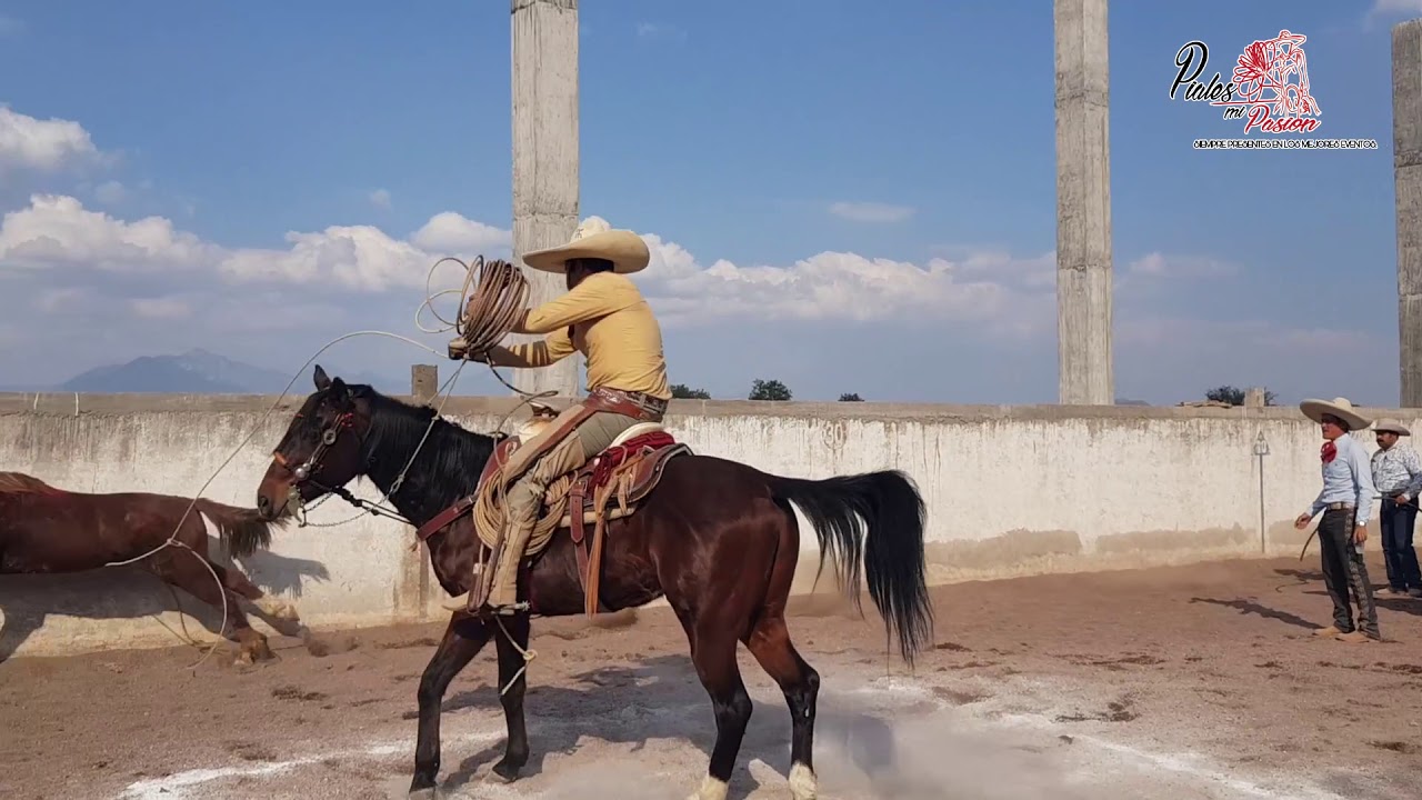 PIALADERO ABIERTO "CHARROS DE LA BOVEDA" ALFAJAYUCAN .HGO 11/01/2019 ...