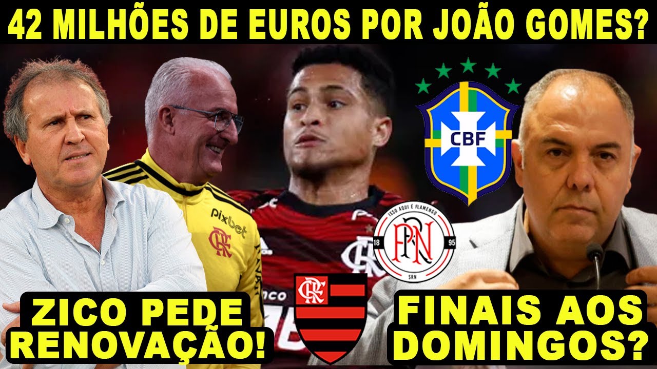 FLA DEVE VENDER J. GOMES POR 42 MILHÕES DE EUROS?ZICO PEDE RENOVAÇÃO DE ...