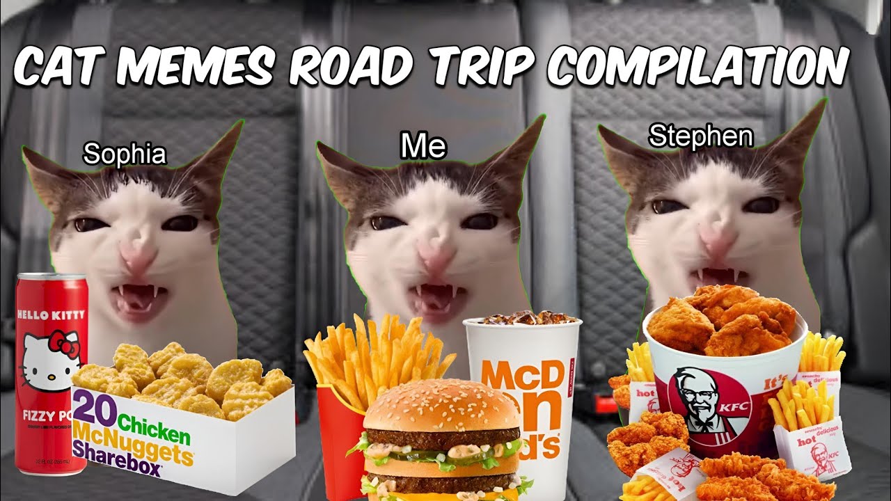 CAT MEMES ROADTRIP COMPILATION PART 2 - YouTube