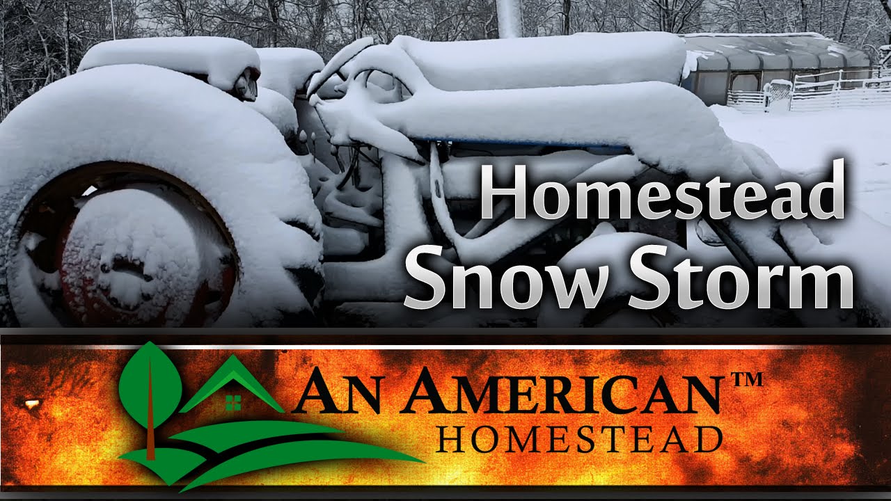 Homestead Snow Storm - YouTube