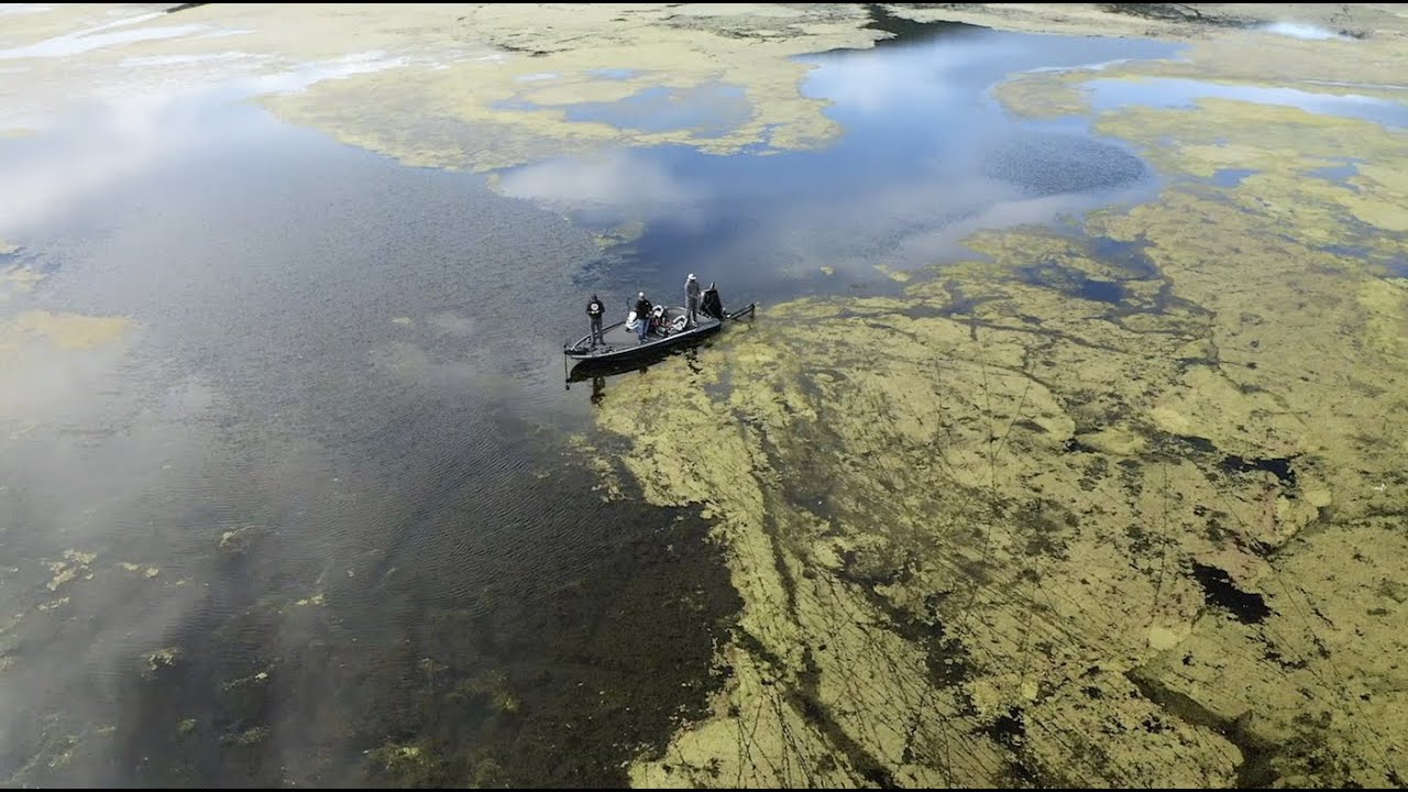 NICKAJACK LAKE With Pro Angler BUDDY GROSS | Sweetwater TV - YouTube