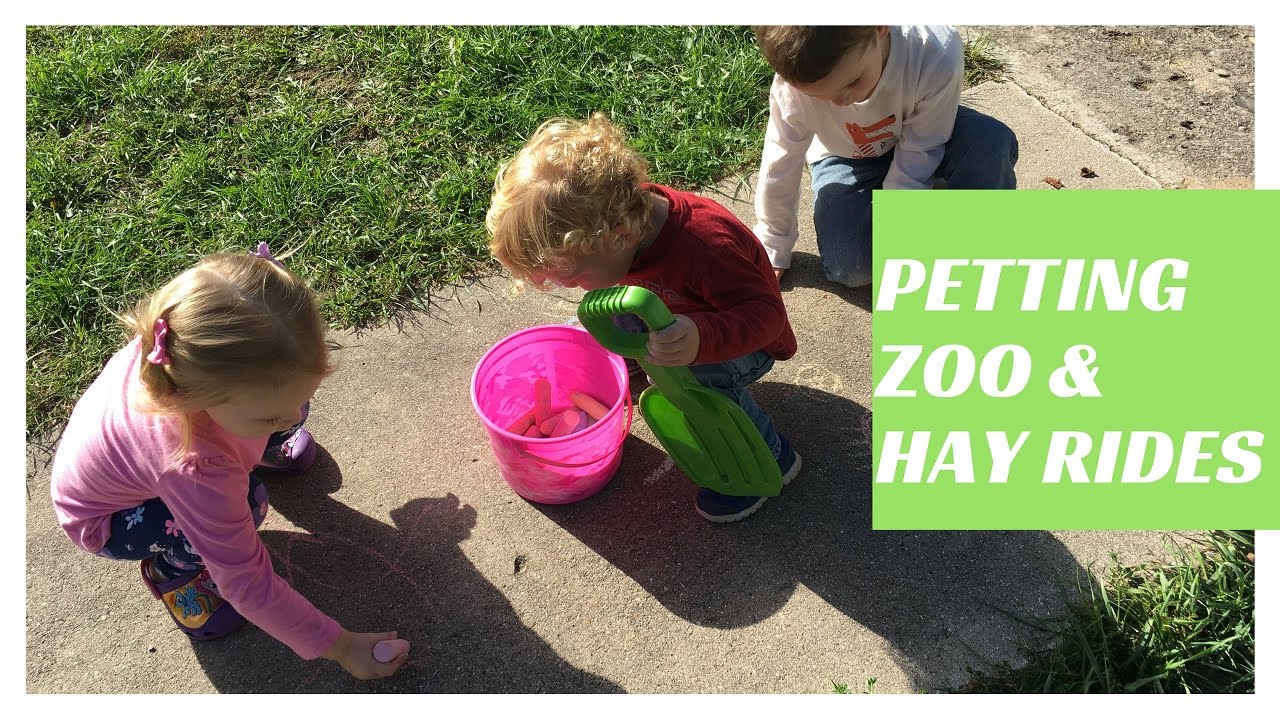 Petting Zoo & Hay Rides at Fall Fest - YouTube