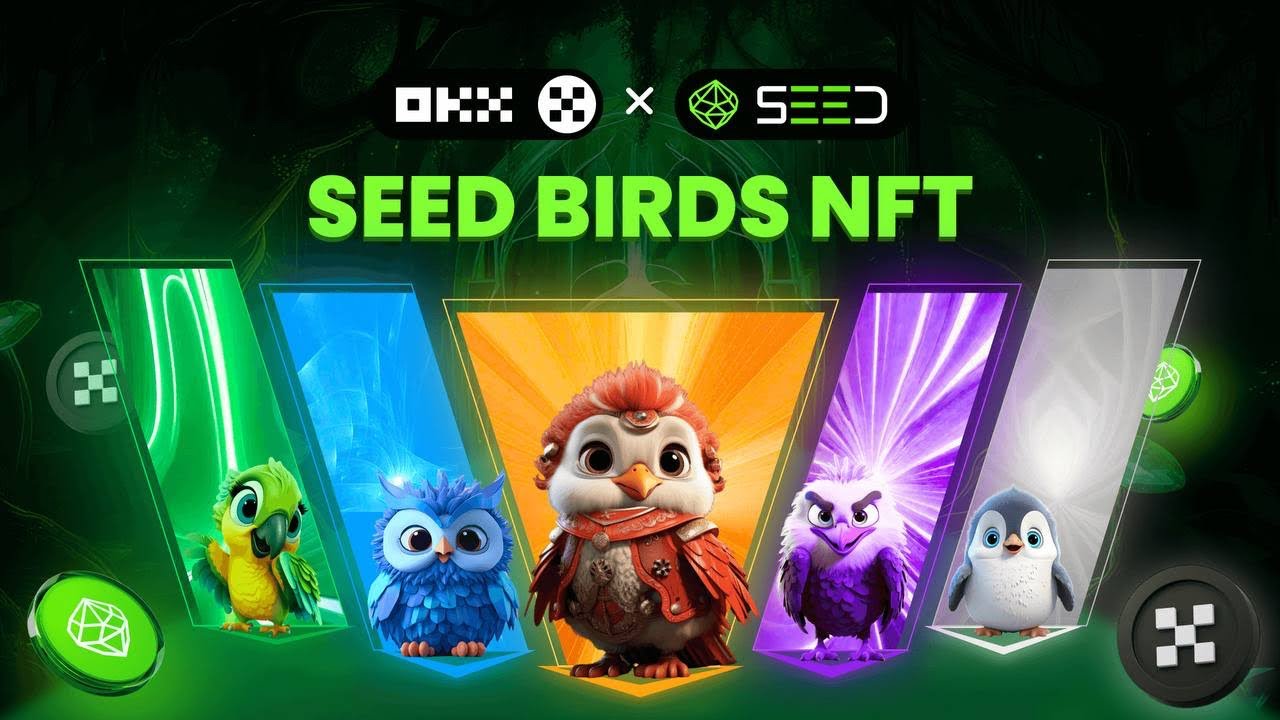 SEEDS BIRDS NFT AIRDROP UPDATE | MINT YOUR NFT | SEED NFT OKX | HOW TO ...