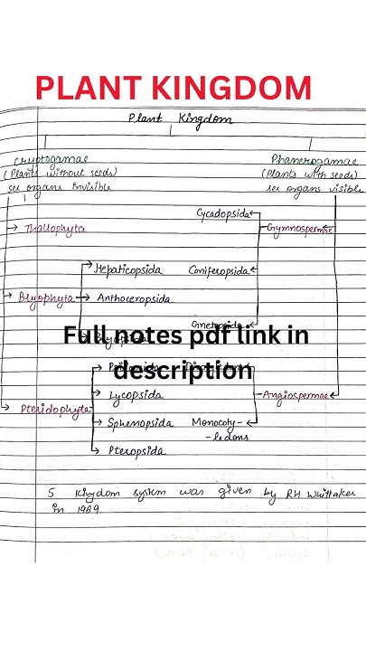 Plant kingdom class11 | plant kingdom notes| Full notes pdf in ...