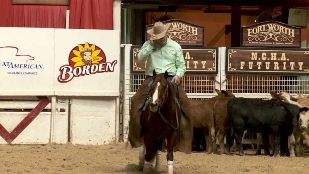 High Brow CD - NCHA Horse of the Year - YouTube