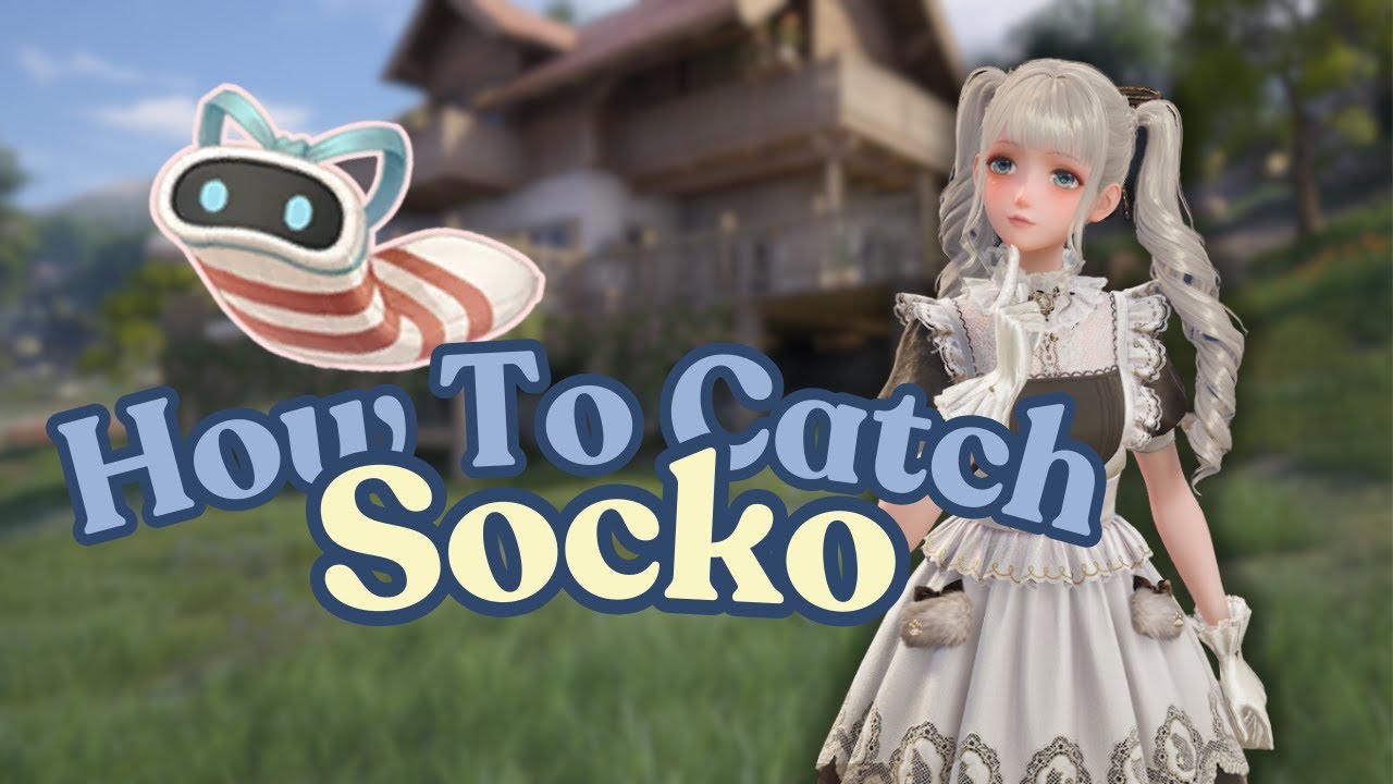 How to CATCH SOCKO! | Infinity Nikki Guides - YouTube