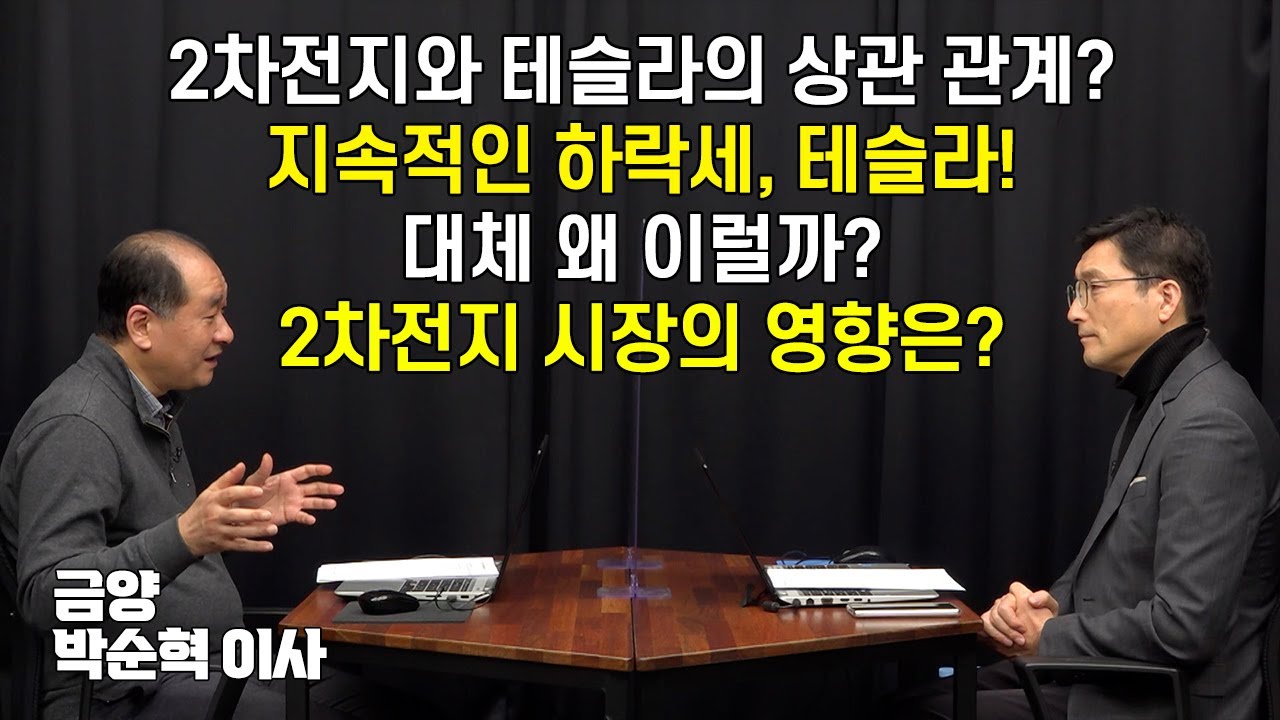 2차전지와 테슬라의 상관 관계 지속적인 하락세를 겪고있는 테슬라 대체 원인은 무엇일까 2차전지 시장의 영향은 금양
