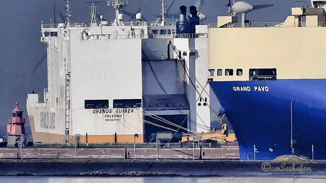 Autotransporter GRANDE GUINEA IMO 9437919 & GRAND PAVO IMO 9284776 RoRo ...