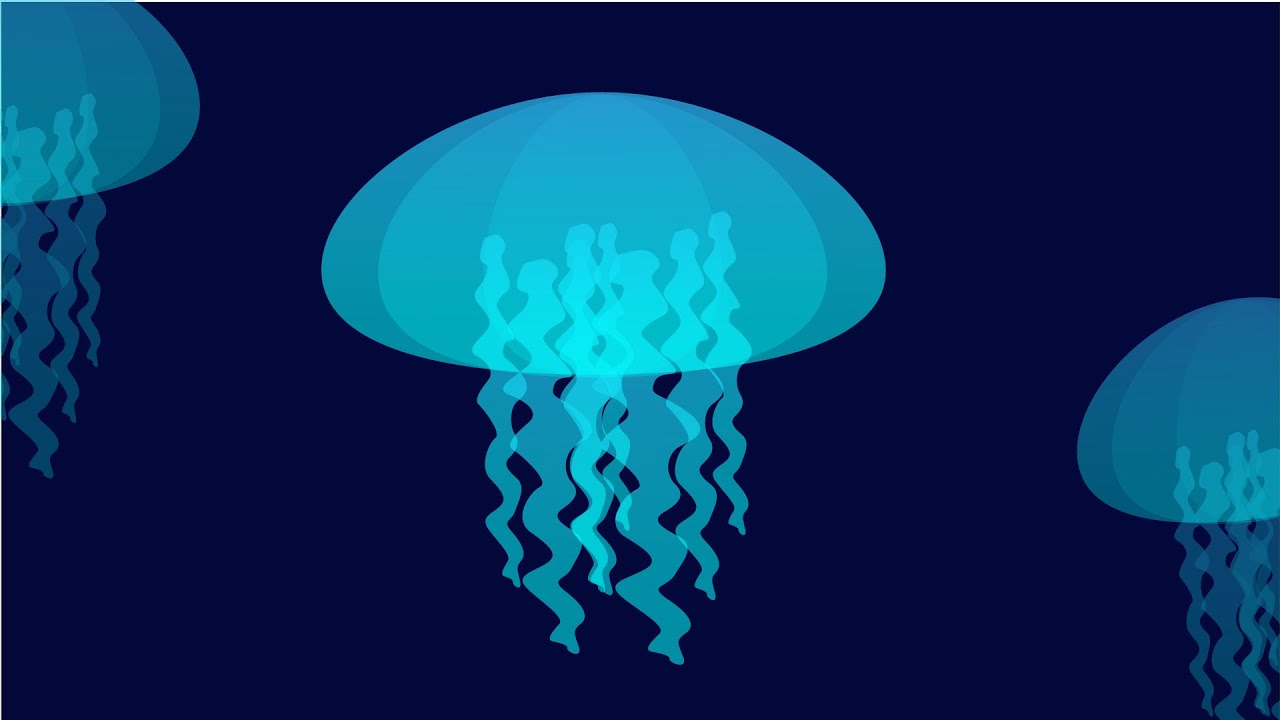 How to create jellyfish animation in adobe animate - YouTube