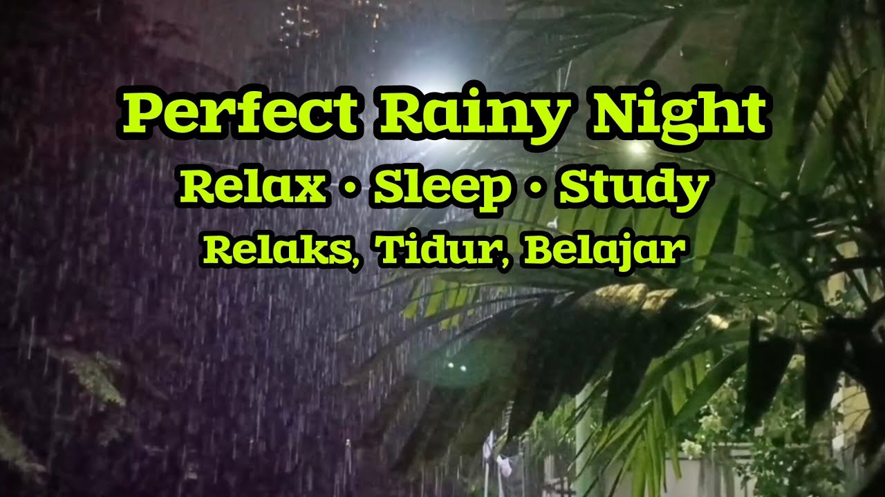 Gentle Rain and Soft Lights – Sleep, Relax, and Study Ambience - YouTube