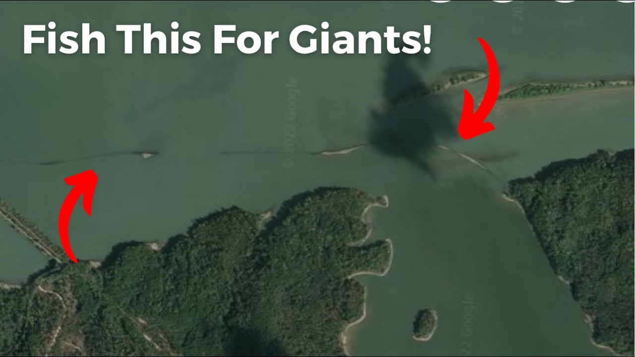 Target This Cover For Big Fish! - YouTube