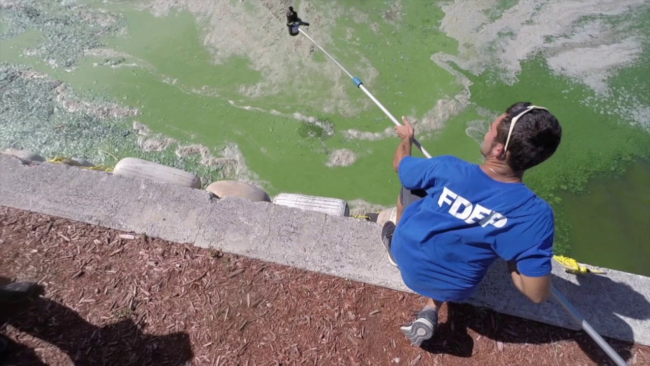Battleground Everglades - Algae Explosion - Trailer - YouTube