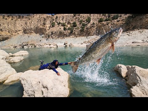 🎣🐟 Giant Fish in the Zagros River | An Incredible Catch in the Heart of the Mountains ⛰️🌊