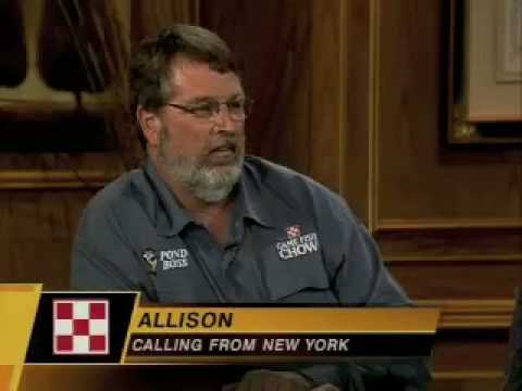 What is a blue green film that is visible at the pond top? - YouTube