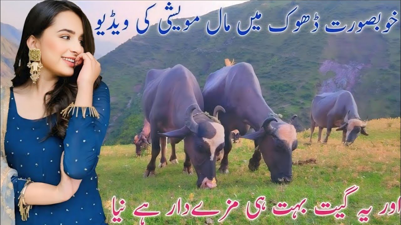 new pahari song 2025 pahari geet pahari bait gojri song gojri geet new ...