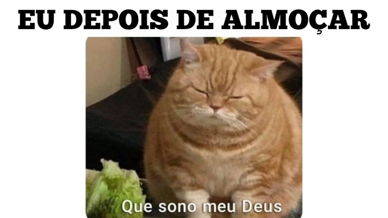 MELHORES MEMES EM IMAGENS - EU DEPOIS DE ALMOÇAR - YouTube