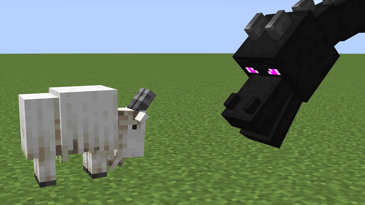 how fearless the goat is? - YouTube