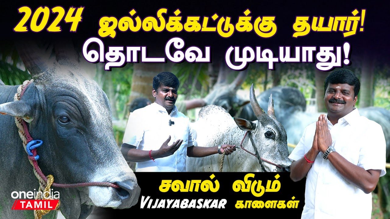 2024 Jallikattu குறித்து மனம் திறந்த Dr. C. Vijayabaskar's Exclusive Interview | Oneindia Tamil ...