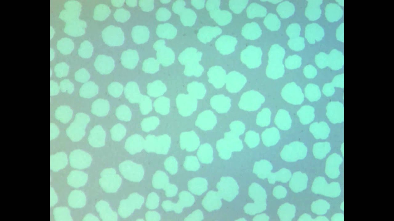 Silver Nanoparticle Self-assembly at Liquid-air Interface (Making a ...