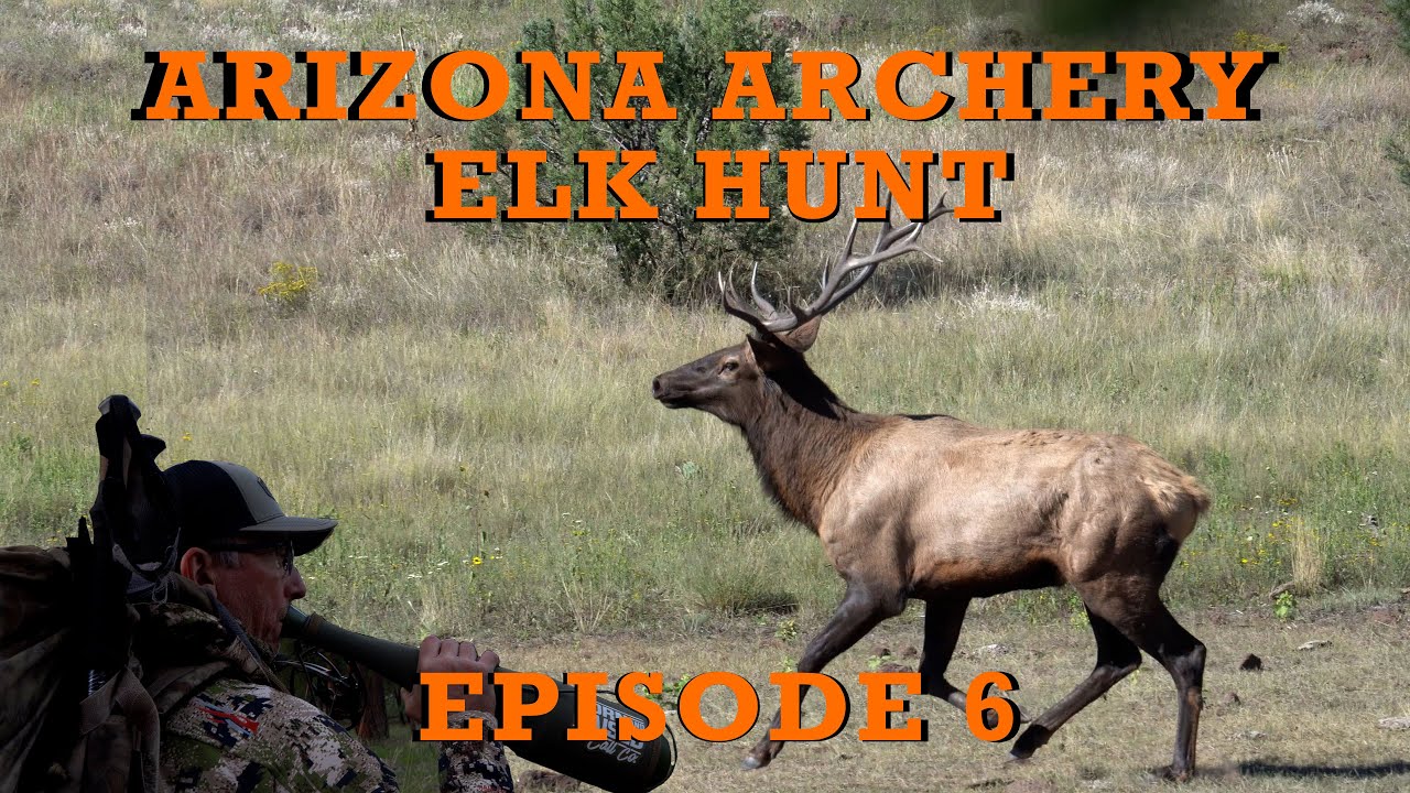 Arizona Archery Elk Hunt | Episode 6 - YouTube