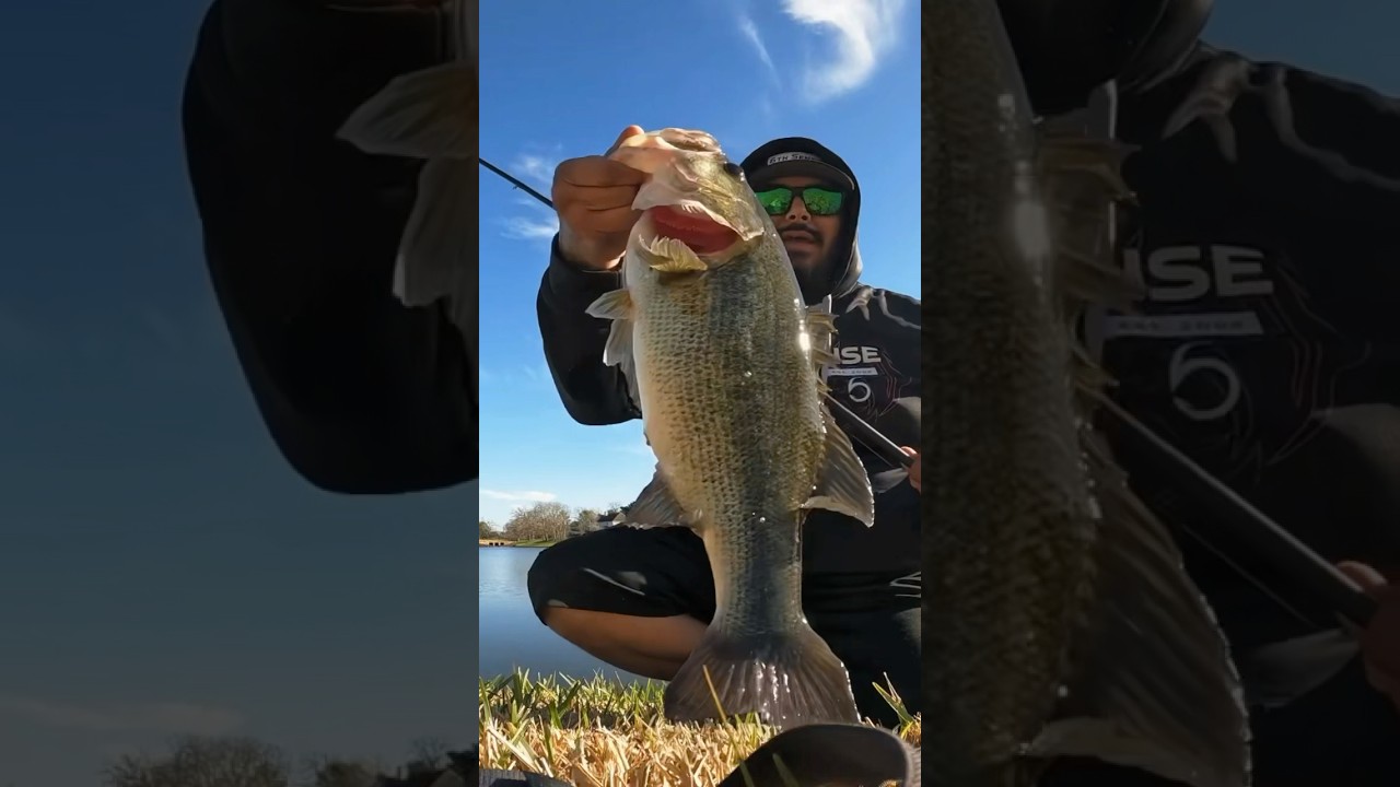 The NEW RIDGE LIZARD 5.7 by 6th Sense Fishing - YouTube