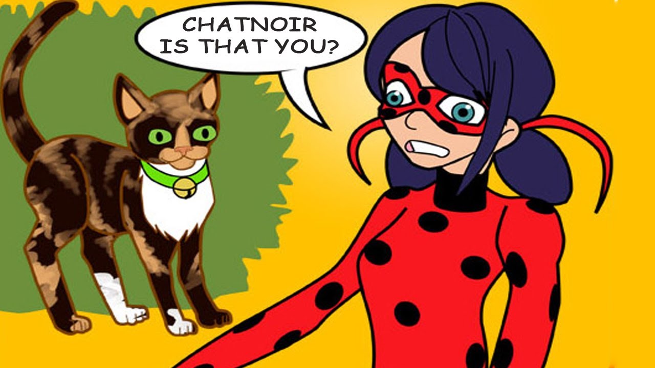 "First Date" Ladybug Comics | Miraculous Ladybug Comics Dub Compilation ...