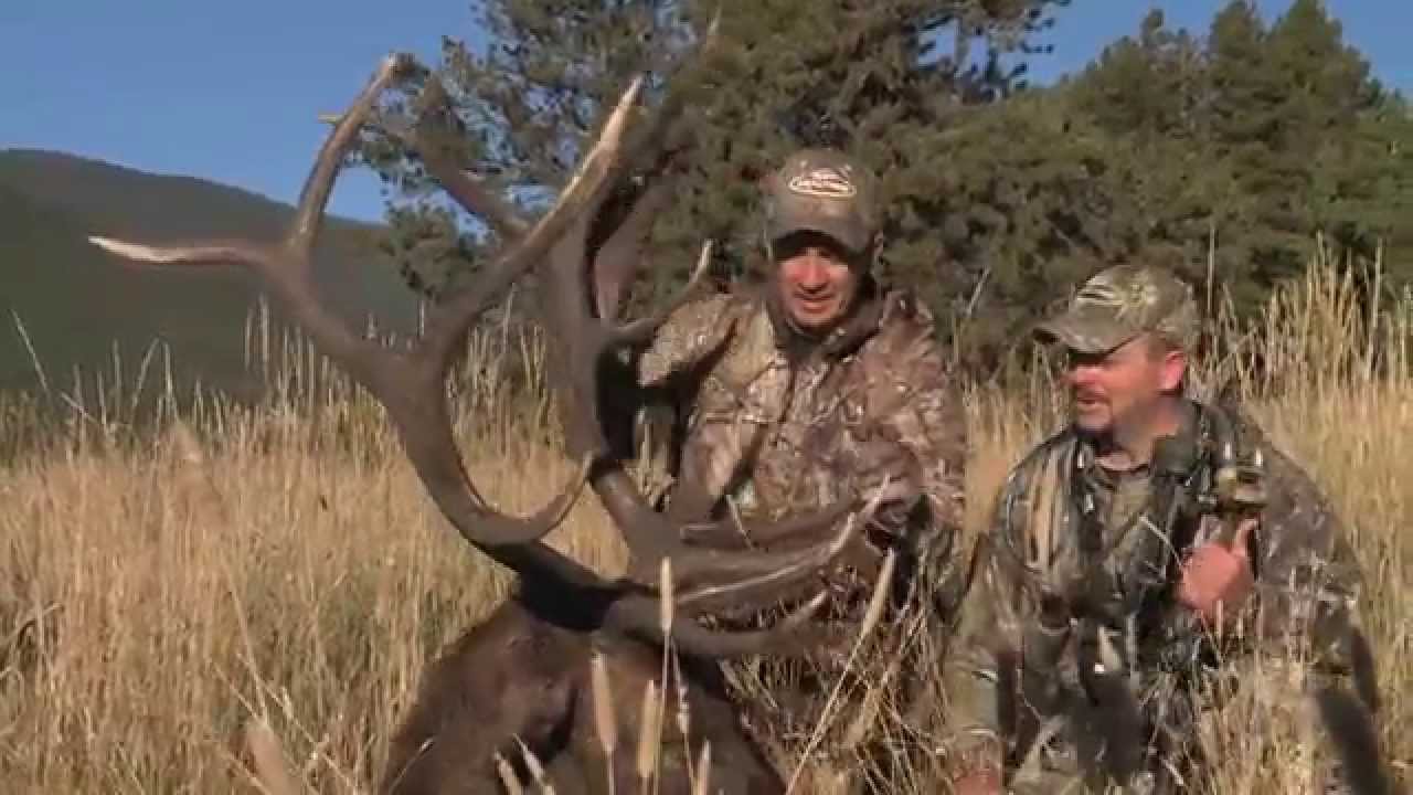 David Blanton Arrows Colorado Bull Elk At 8-Yards! - YouTube