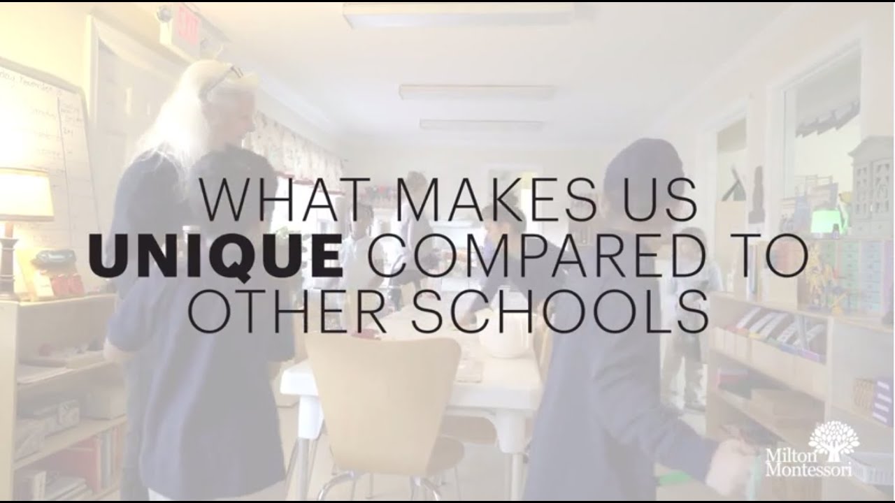 What Makes Us Unique Compared to Other Schools? - YouTube