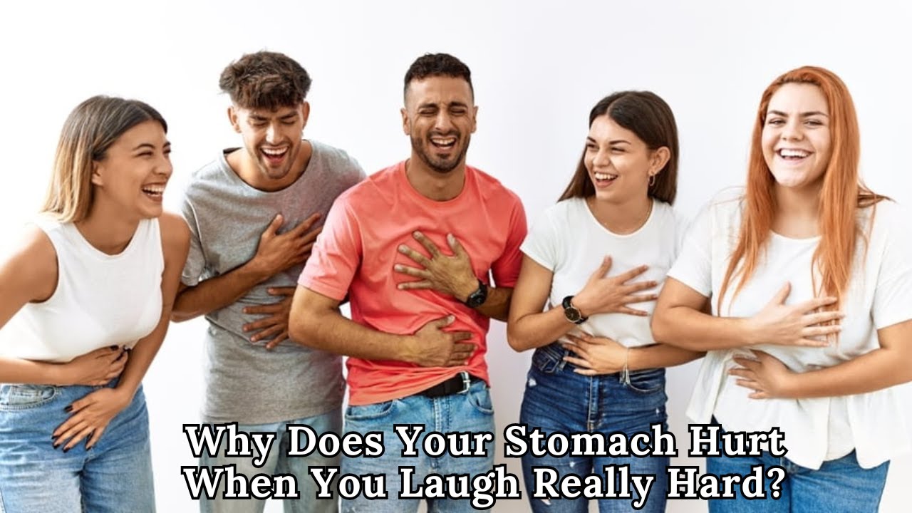 Fascinating Why Does My Stomach Hurt When I Laugh Photos