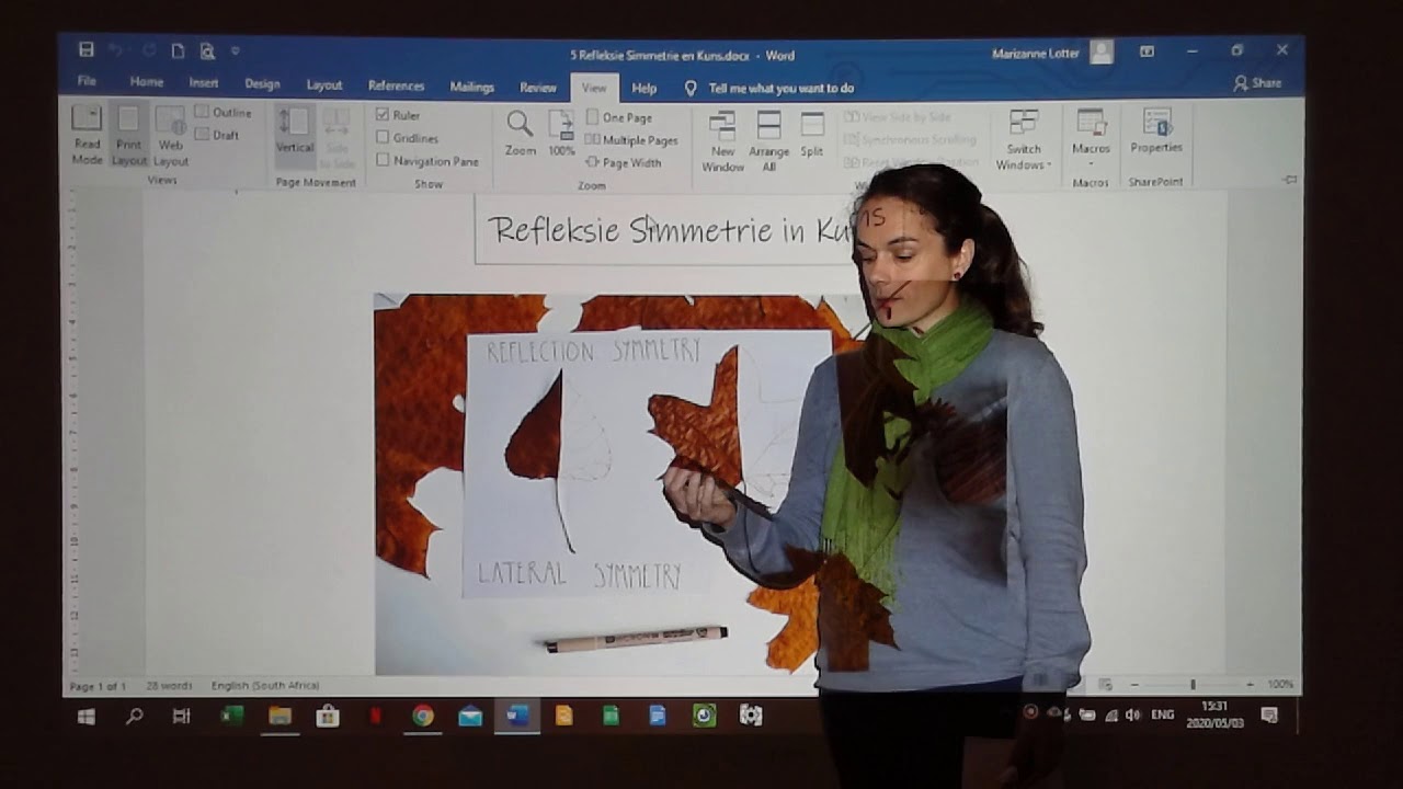 Wiskunde : Graad 6 : Week 5 : 6. Refleksie Simmetrie in Kuns - YouTube