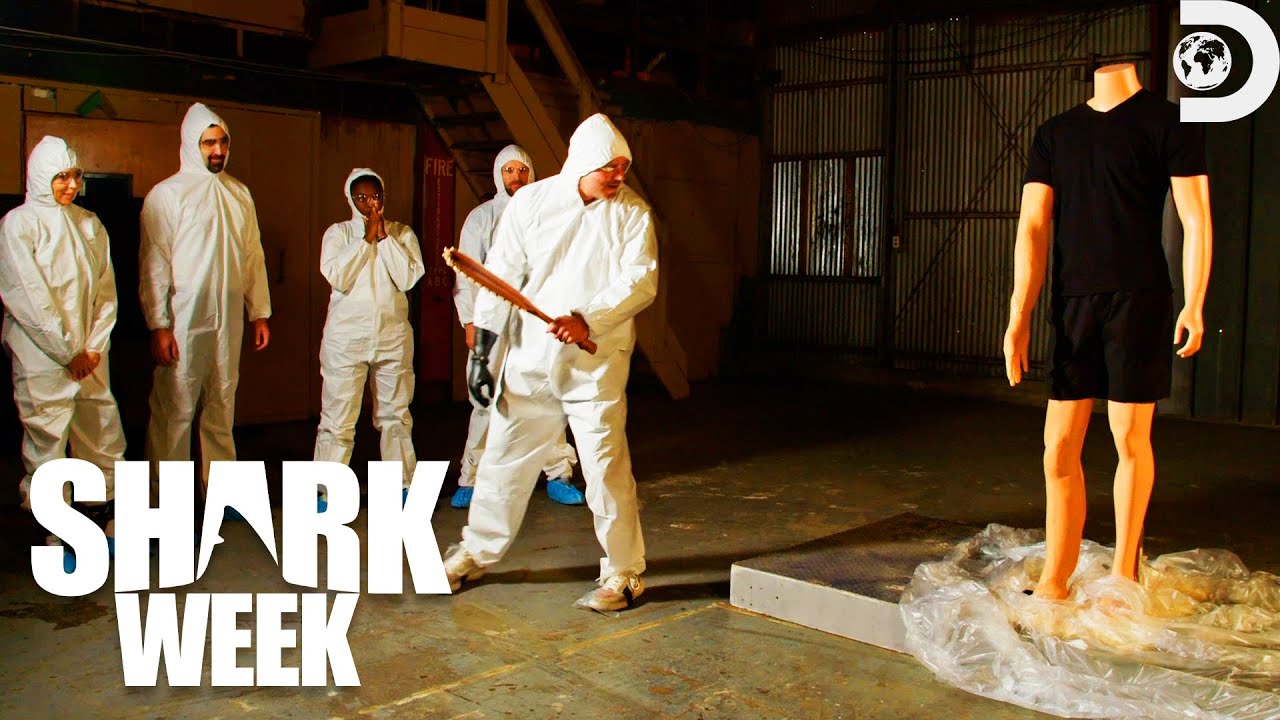Testing Shark Tooth Weapons | Deadliest Bite | Shark Week - YouTube