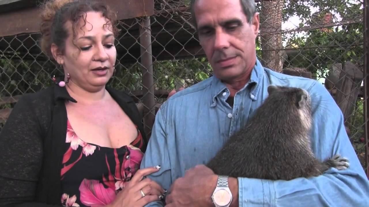 Crónica de Domingo Julio Acanda Jutías en Bainoa - YouTube