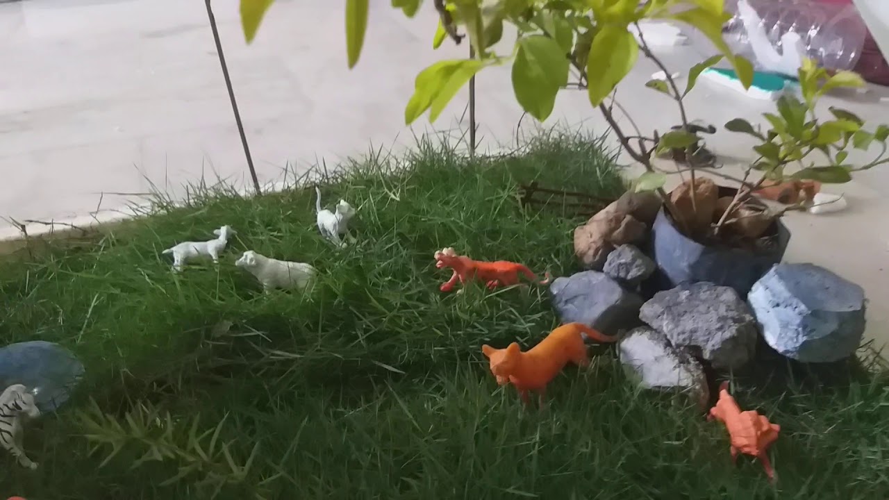 Wild animals school project - YouTube